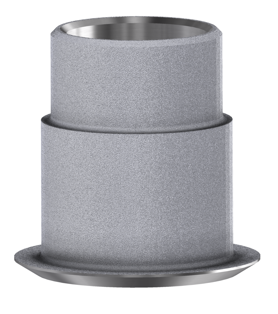 DESS External Hex BH (BioHorizons® External) - Ti-Base - Ceramet UK ...