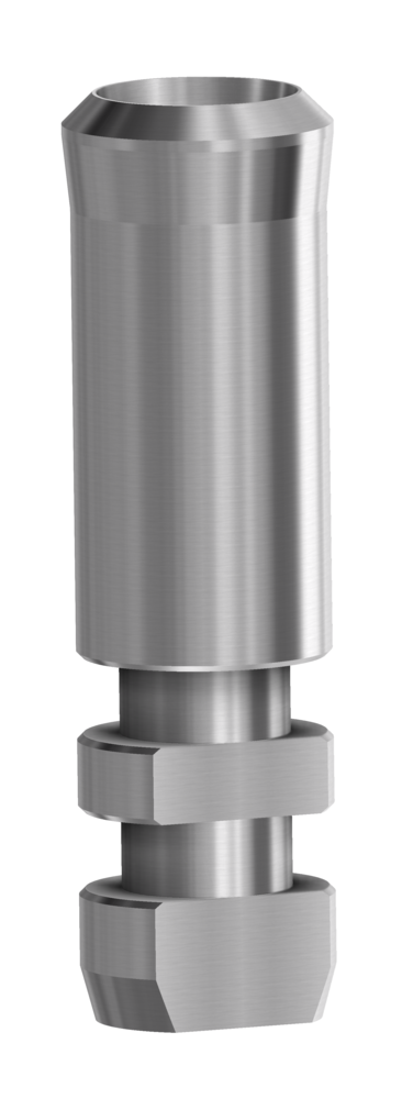 DESS Octagon® (Straumann® Tissue level & synOcta®) - Analogue - Ceramet ...