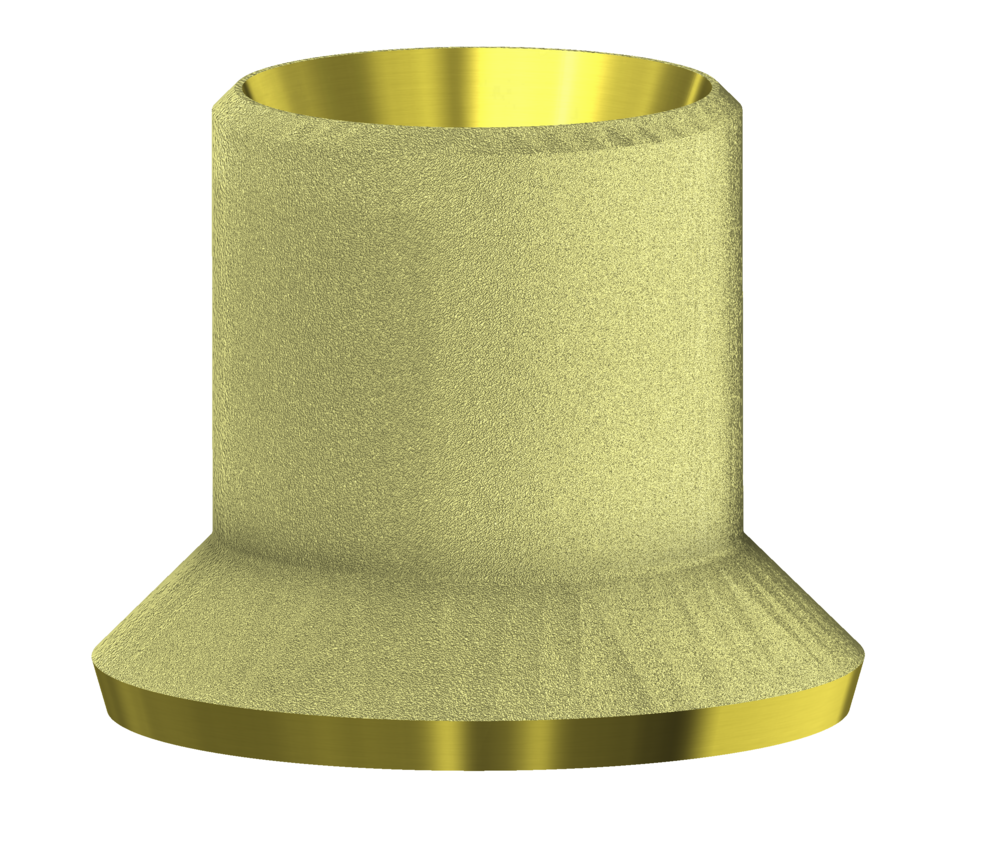 DESS Octagon® (Straumann® Tissue level & synOcta®) - ANGLEBase ...