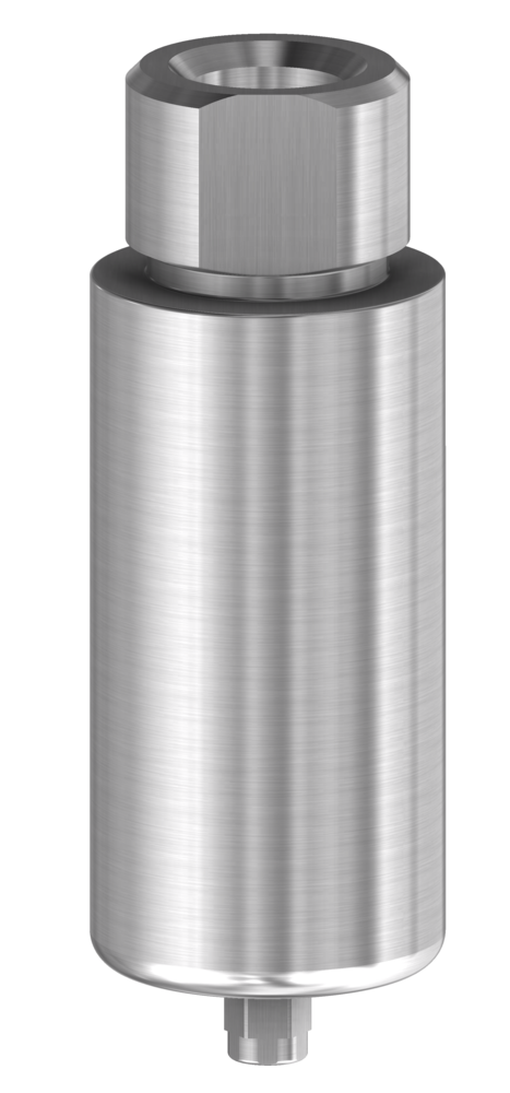 DESS Internal Hex "Click" (3i Certain®) - Titanium Pre-Milled Blank ...